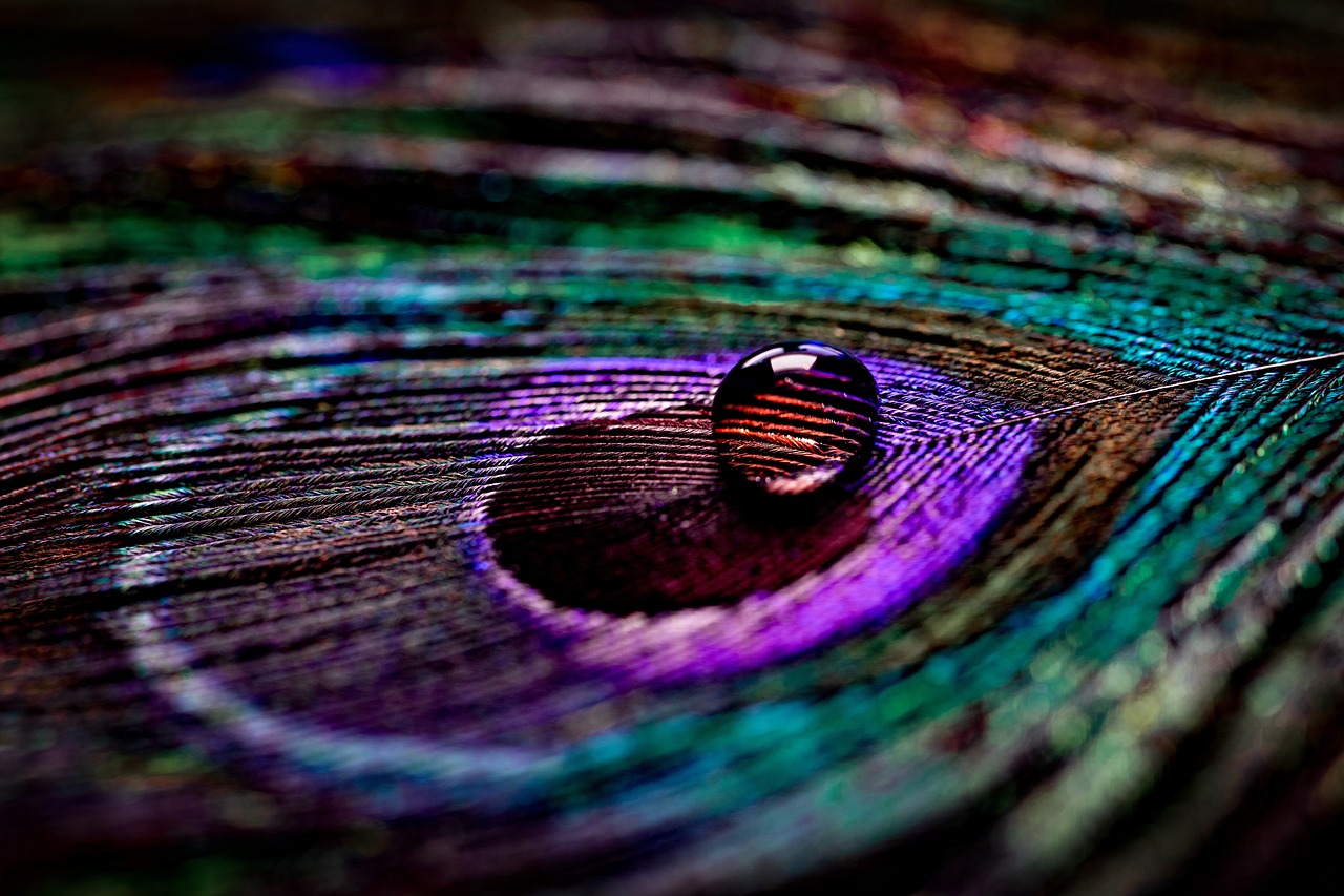 Nature-Inspired Design: A Biomimicry Primer - Interwoven