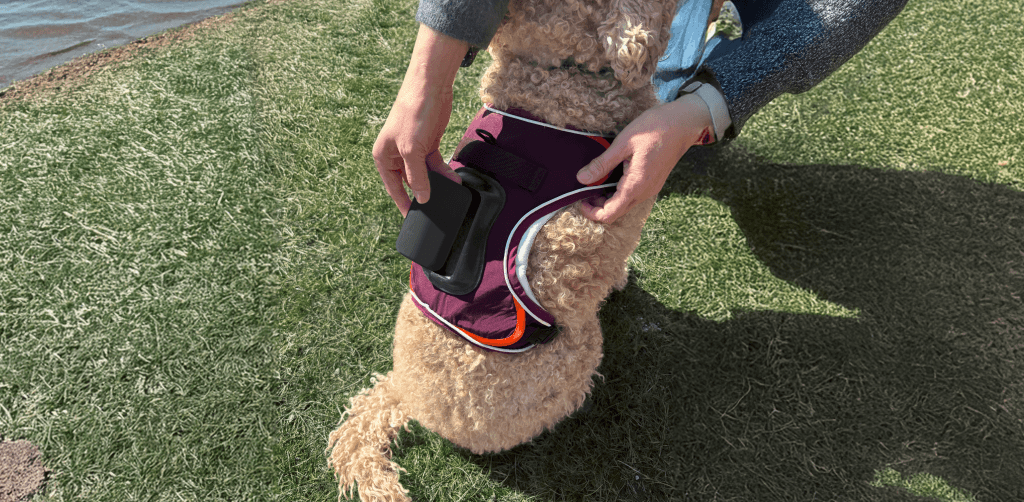 Smart Dog Harness - Interwoven
